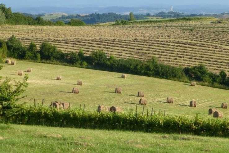 Farms and Rural Properties with Land For Sale in France | My-French-House