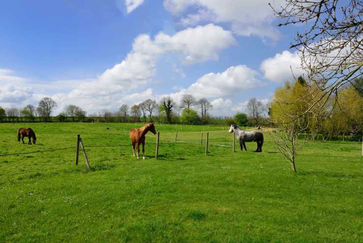 Stone Houses & Country Homes for Sale in France