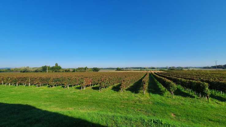 Farms and Rural Properties with Land For Sale in France | My-French-House