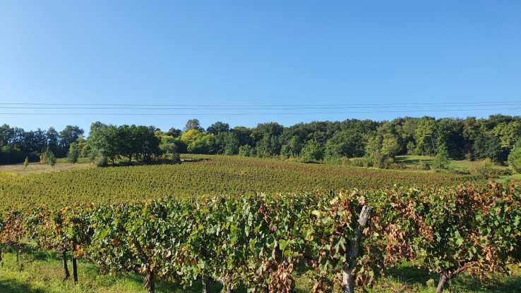 Farms and Rural Properties with Land For Sale in France | My-French-House