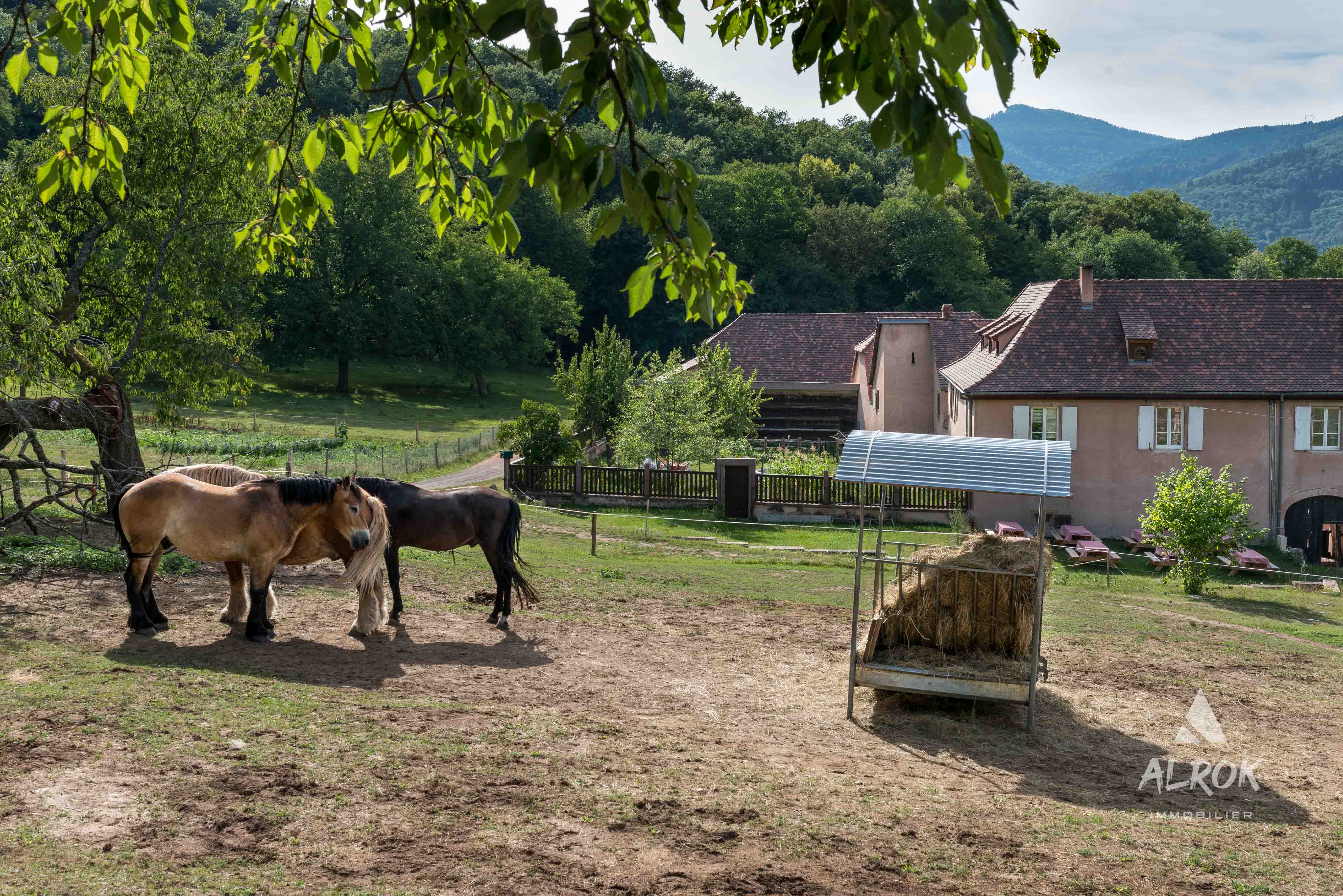 Farms and Rural Properties with Land For Sale in France | My-French-House