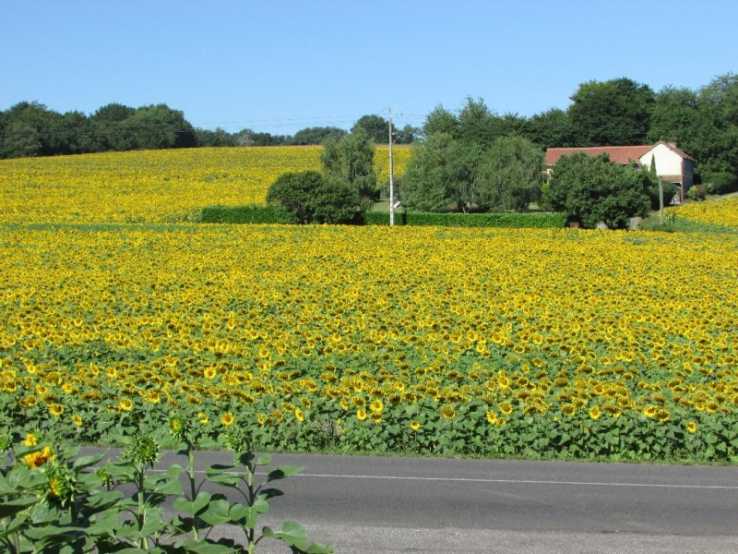 Farms and Rural Properties with Land For Sale in France | My-French-House